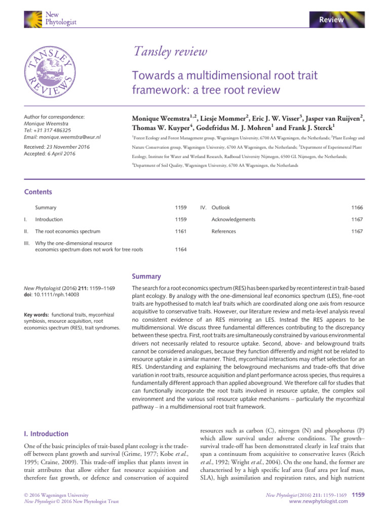 New Phytologist - 2016 - Weemstra - Towards A Multidimensional Root Trait Framework A Tree Root ...