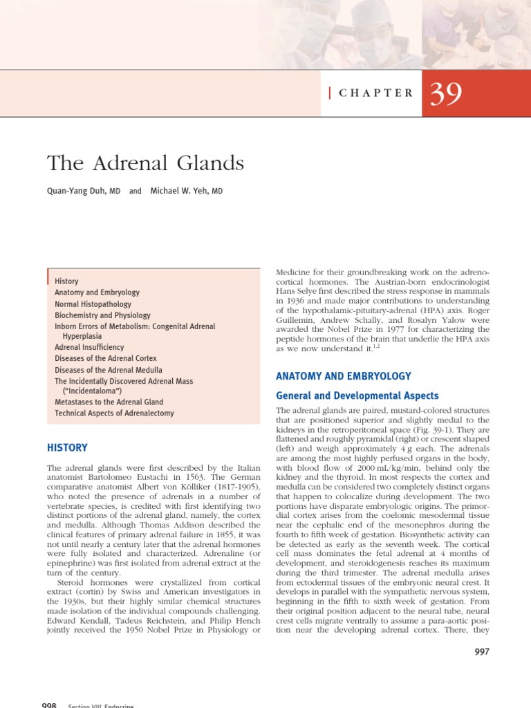 The Adrenal Glands Pdf Adrenal Gland Angiotensin