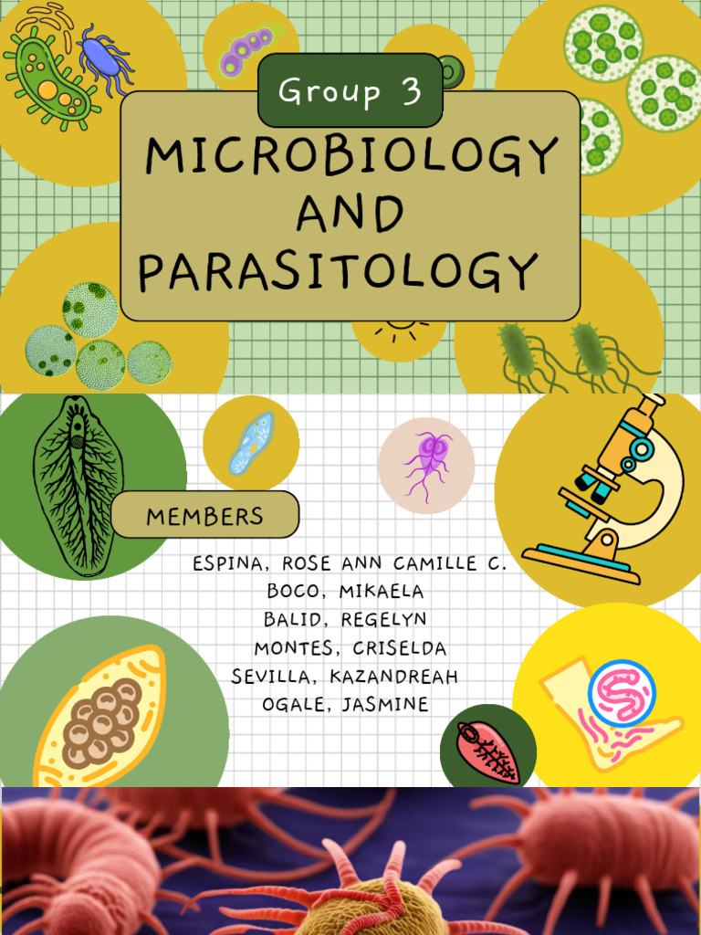 TREMATODES ( Group 3 ) PPT (1) | PDF | Epidemiology | Microbiology