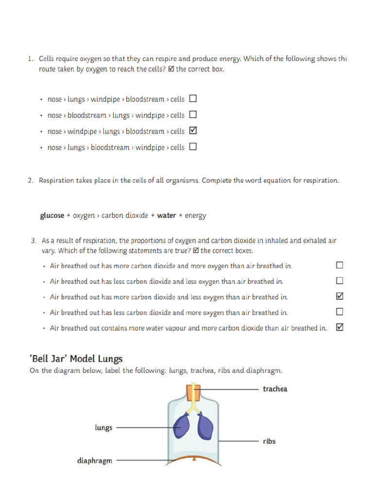 Unit 1 Revision - ANSWER KEY | PDF