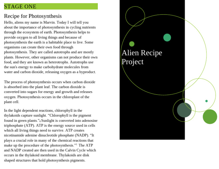 Alien Recipe Project | PDF
