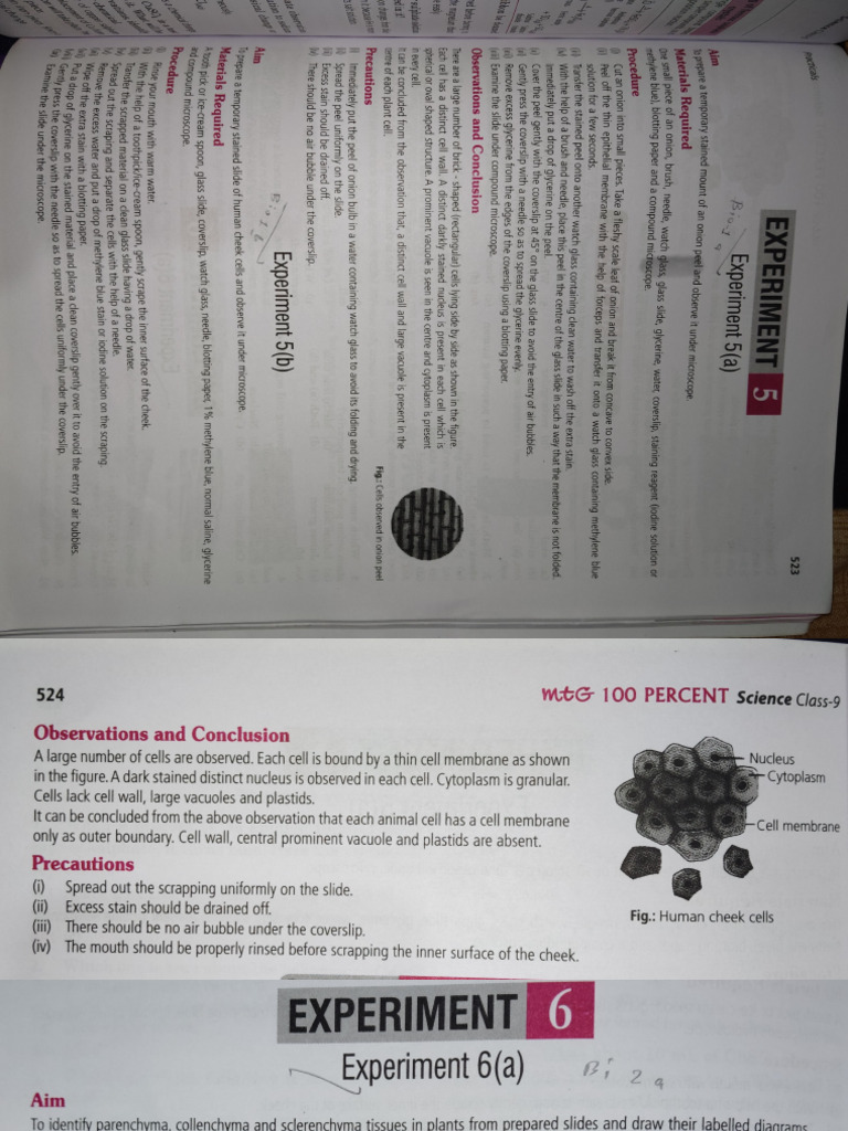 9th Biology Practicals | PDF