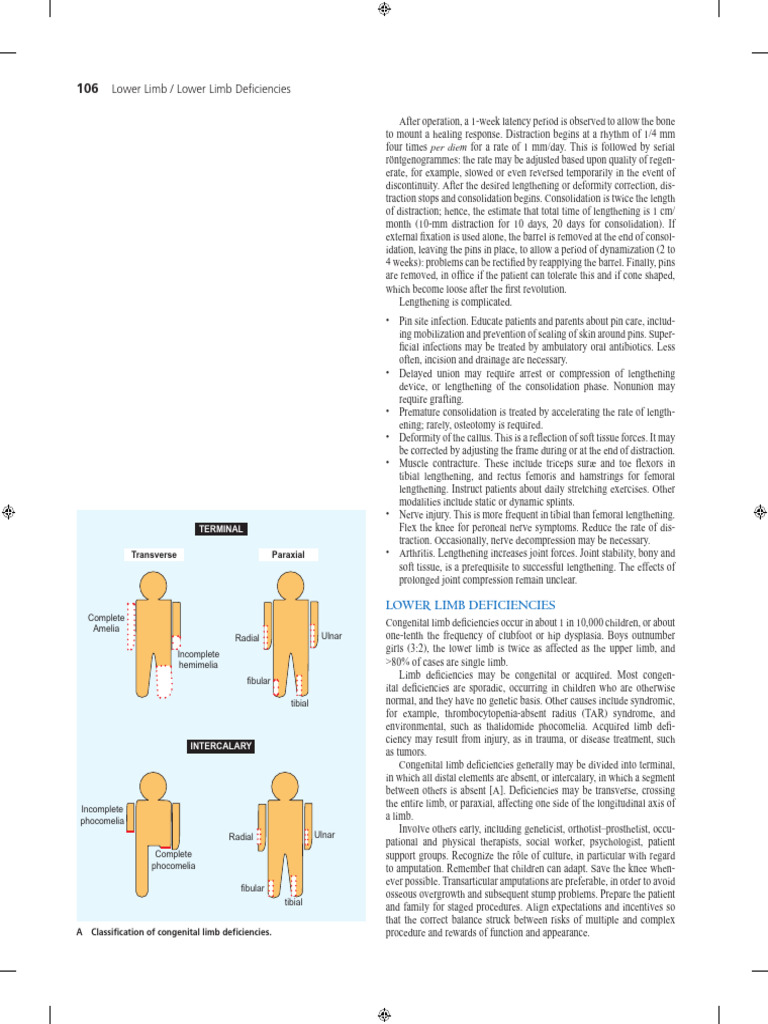 05 LOWER LIMB-16 | PDF | Musculoskeletal System | Diseases And Disorders