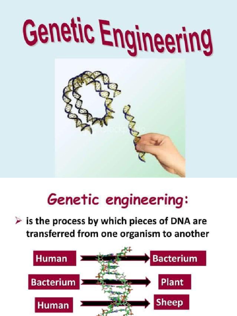 Genetic Engineering Processes | PDF