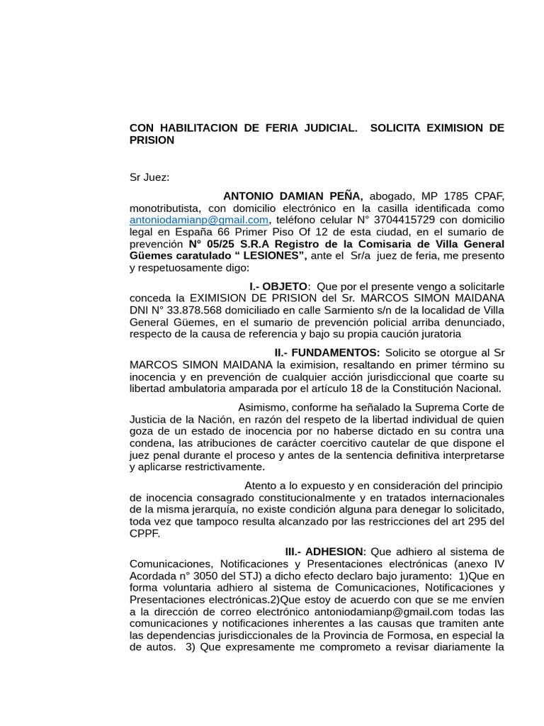 Excarcelacion Nico | PDF | Juez | Gobierno