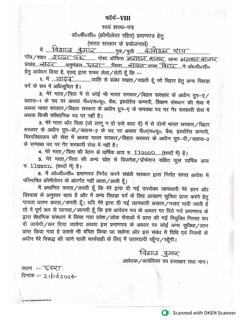 Form VIII of Vishal | PDF