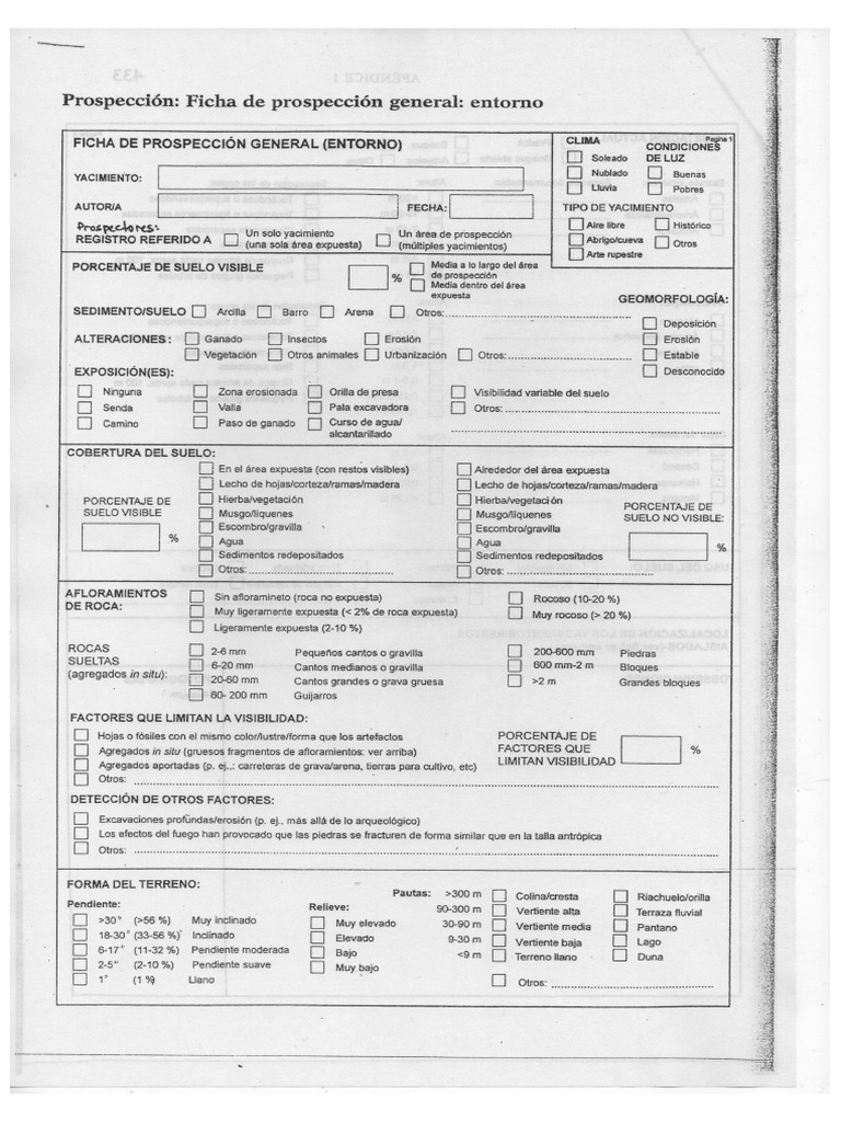 Ficha Prospección General Entorno | PDF