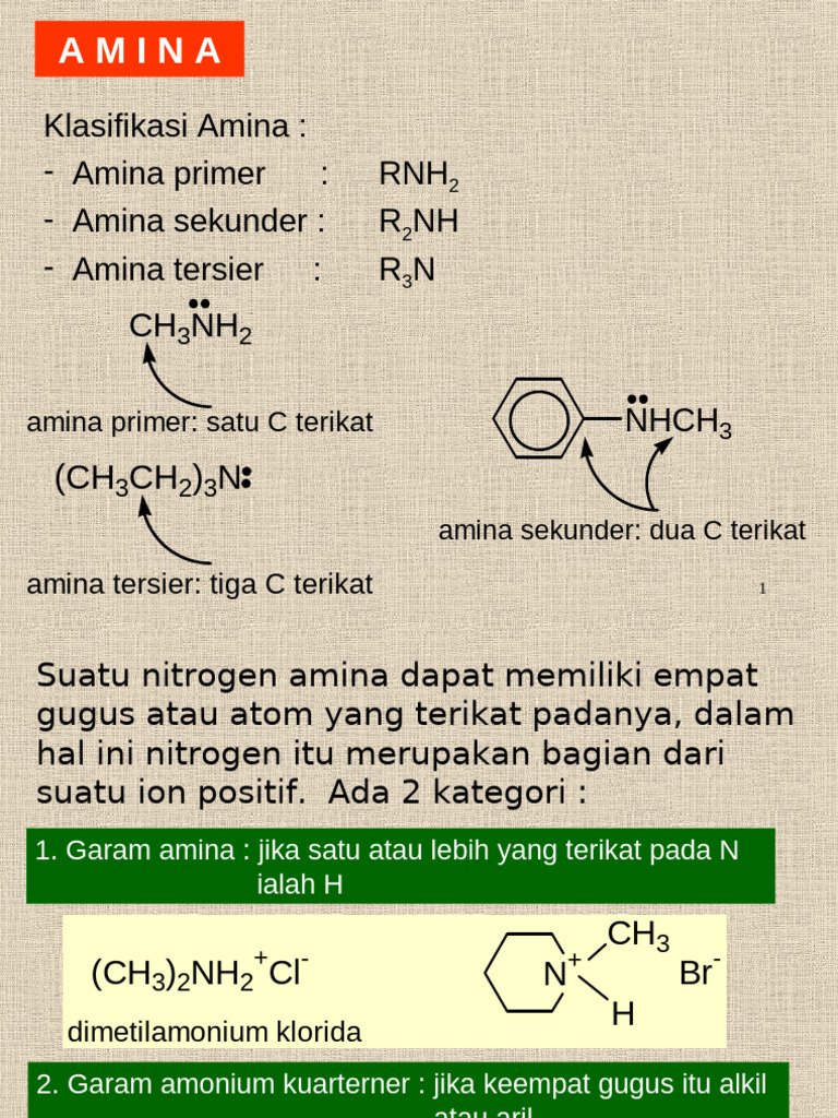 Mekanisme Amina | PDF