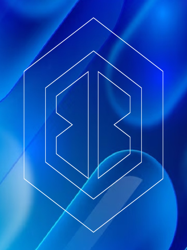 Brainee Exchange | PDF