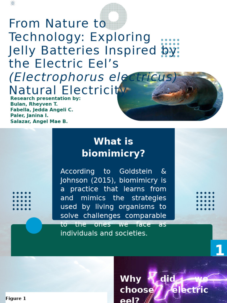 Biomimicry Research Presentation | PDF | Electricity | Electrical ...