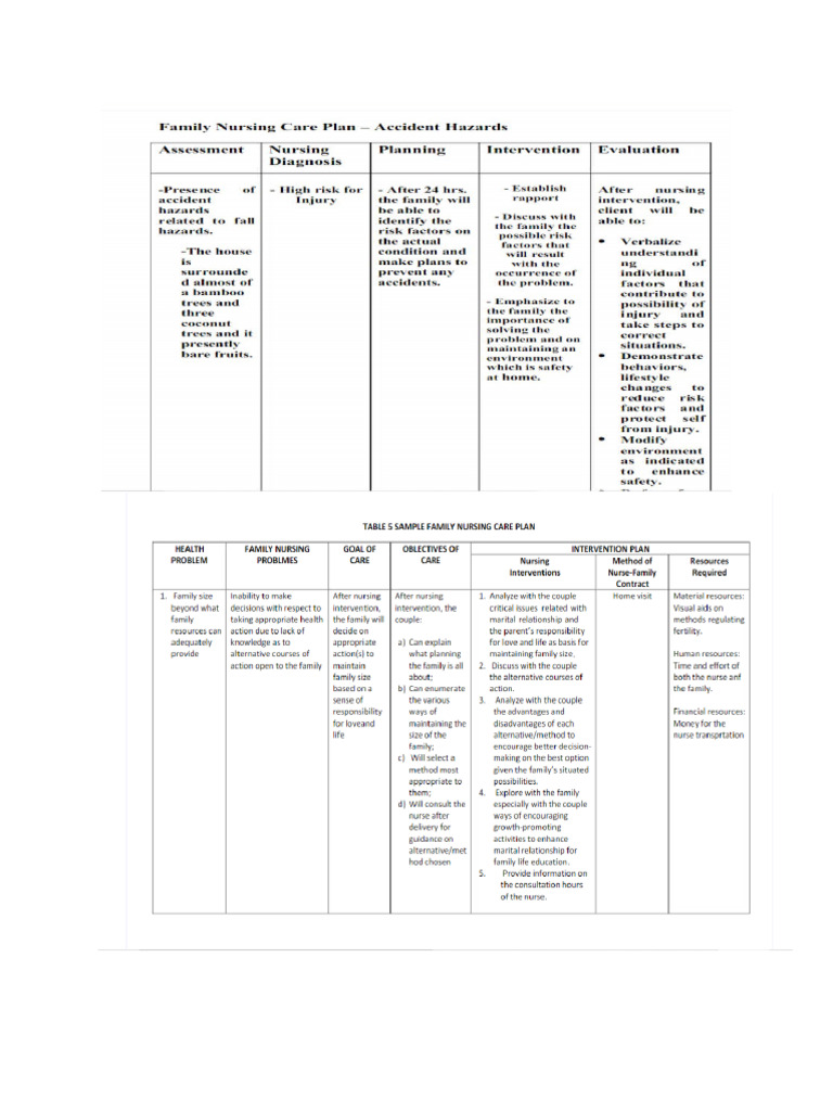 Sample Family Care Plan | PDF