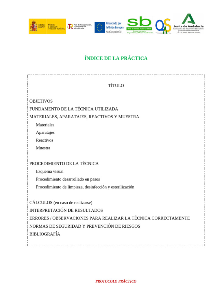 Modelo Protocolo Prácticas.2022.2023 | PDF