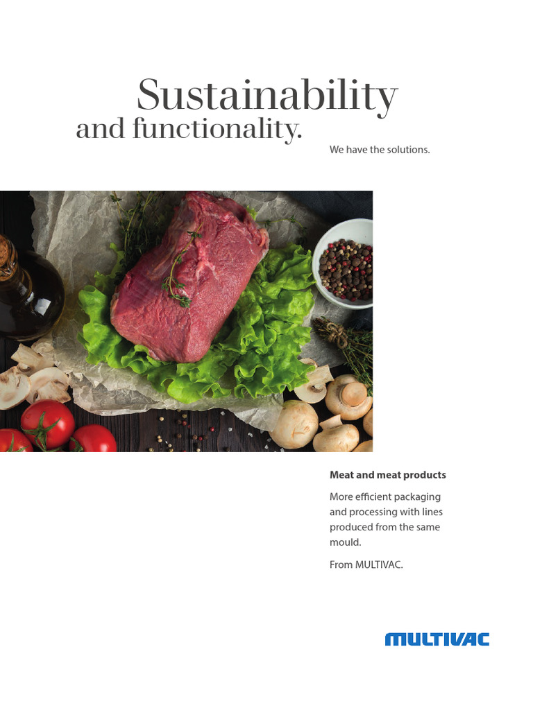 81464_Application-brochure-Meat-and-Meat-Products-Basic-EN | PDF | Packaging And Labeling | Meat