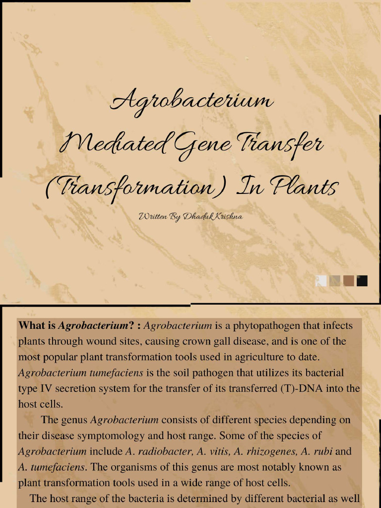 Agrobacterium-Mediated Gene Transfer (Transformation) in Plants - Compressed | PDF