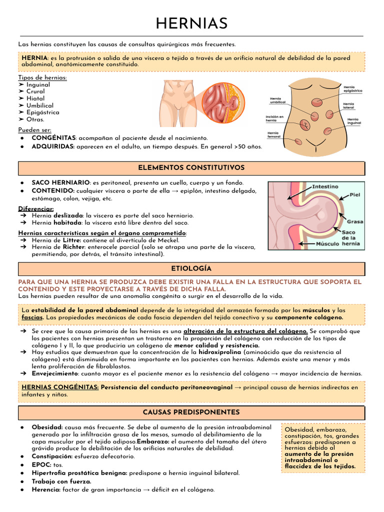 Tipos y causas de hernias abdominales | PDF | Abdomen