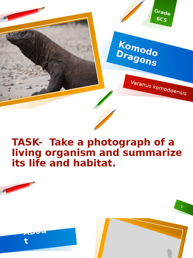 Komodo Dragons: Habitat and Diet Overview | PDF | Komodo Dragon