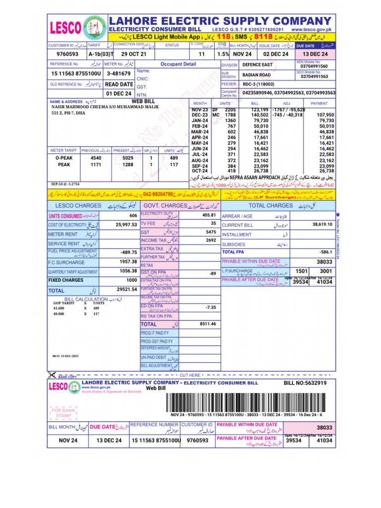 Web Bill Summary for November 2024 | PDF