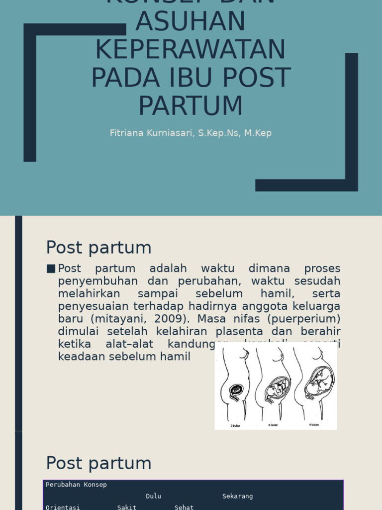 Asuhan Keperawatan Ibu Post Partum | PDF