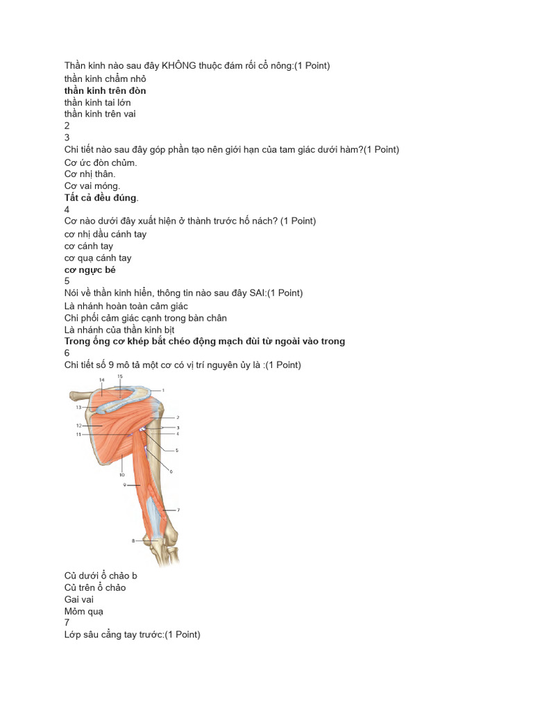 ĐỀ GK GP1 Y23 | PDF
