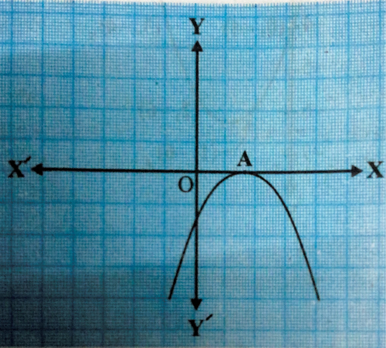 Scanned Document 4 | PDF