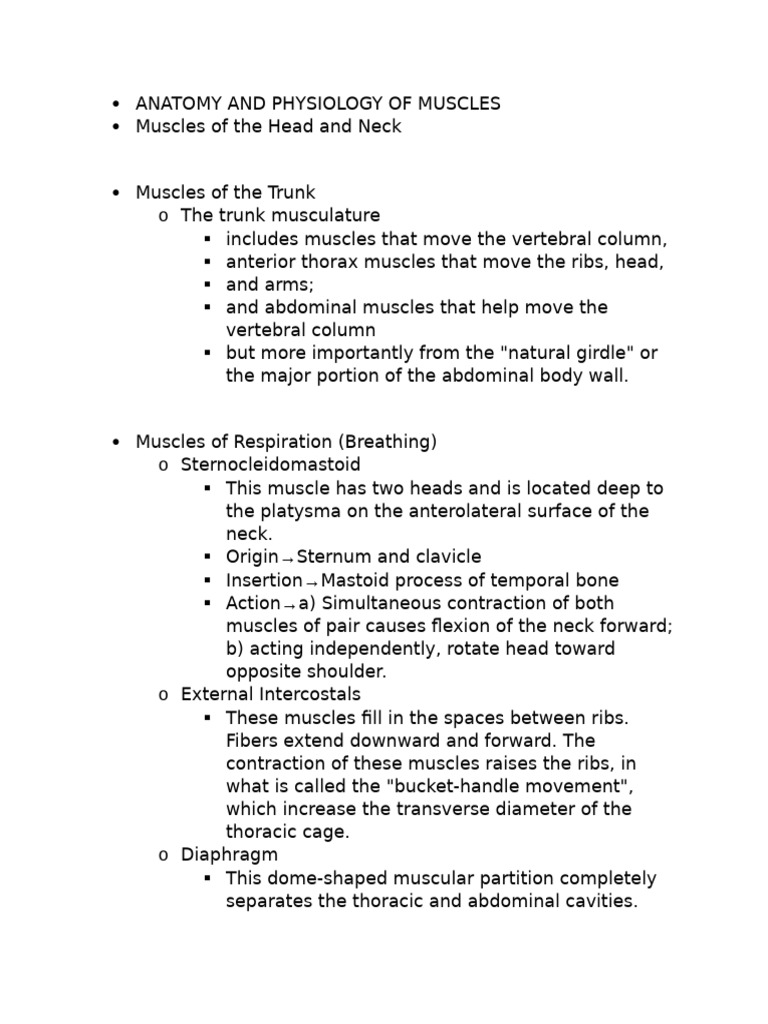 Muscle Anatomy and Physiology Guide | PDF | Human Leg | Abdomen