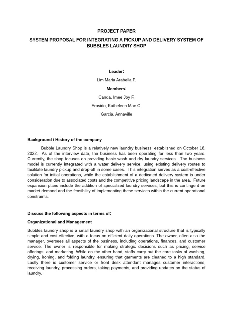 Project-Paper (1) | PDF | Pricing | Laundry