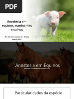 Anestesia em Suínos | PDF | Anestesia | Midazolam