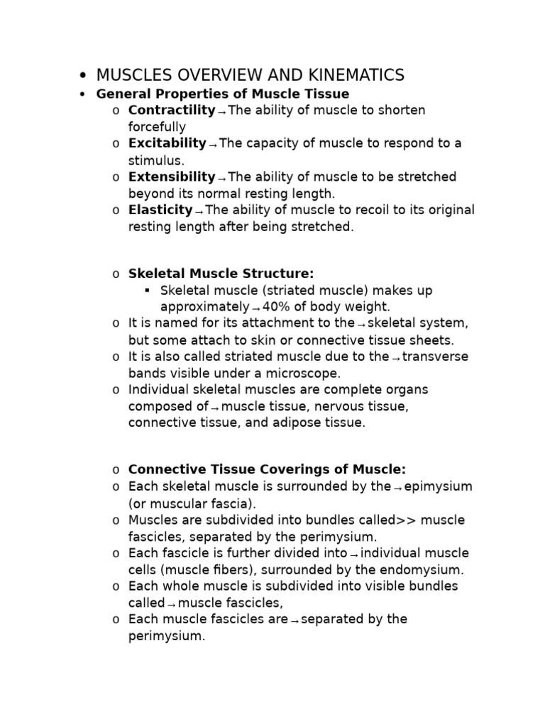 Muscles Overview and Kinematics | PDF | Muscle Contraction | Abdomen