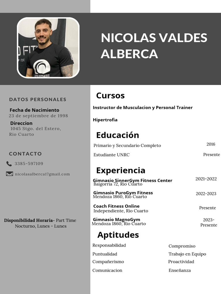 CV NICOLAS VALDES | PDF