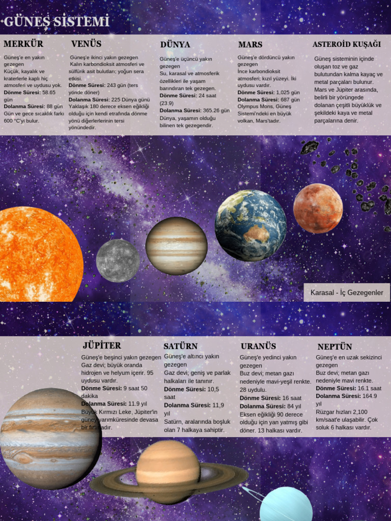 Blue and White School Trifold Brochure | PDF