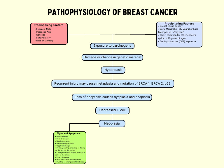 Pathophysiology-Breast-Cancer.pdf | PDF
