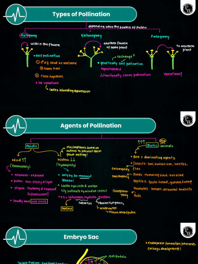 65d6ee6bb0319400181aa36e - ## - Sexual Reproduction in Flowering Plants ...