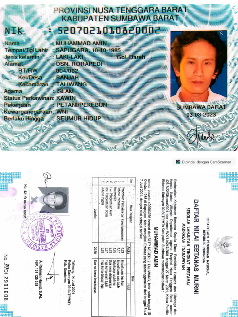 CV Muhammad Amin | PDF