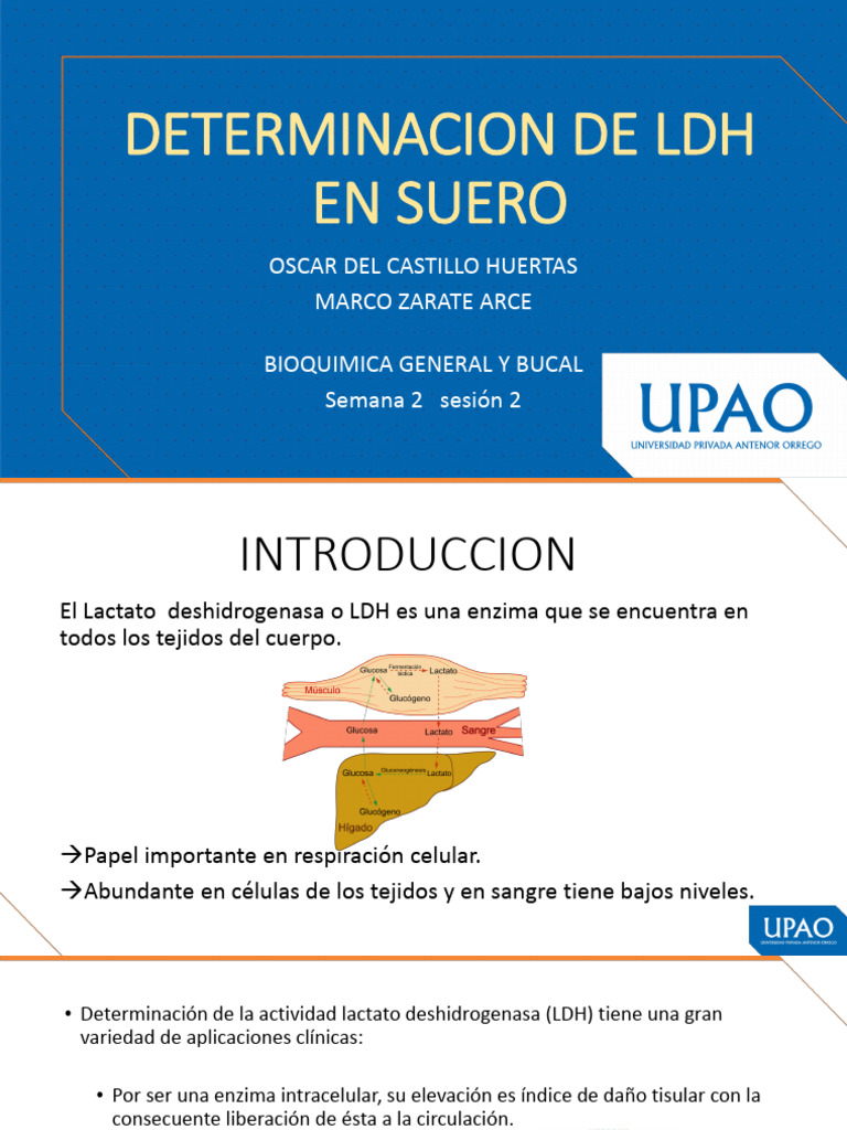 Sesion 2 Practica LDH | PDF | Ácido láctico | Sangre
