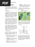 Protozoos Sarcodinos G5 | PDF | Organismos | Biología