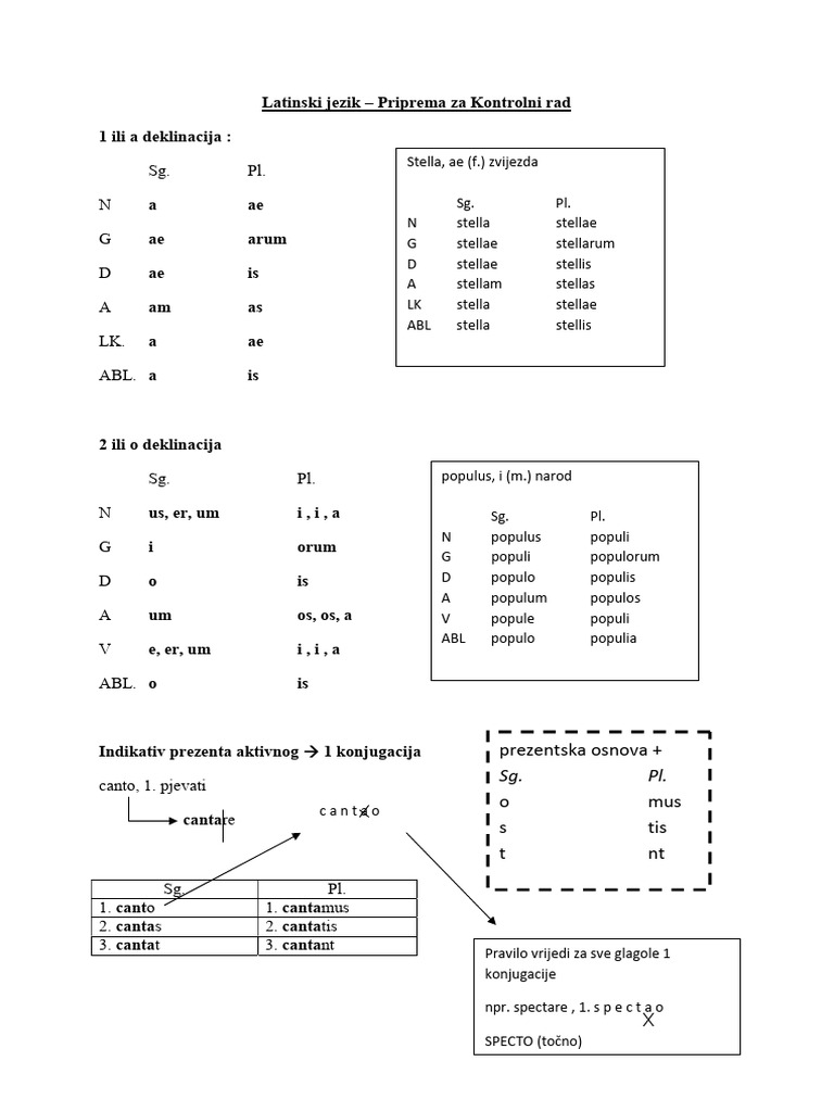 Latinski Jezik - Priprema Za Kontrolni Rad | PDF