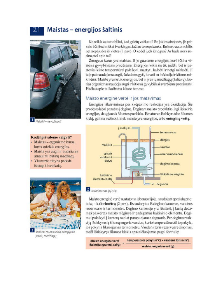 9 Mityba | PDF
