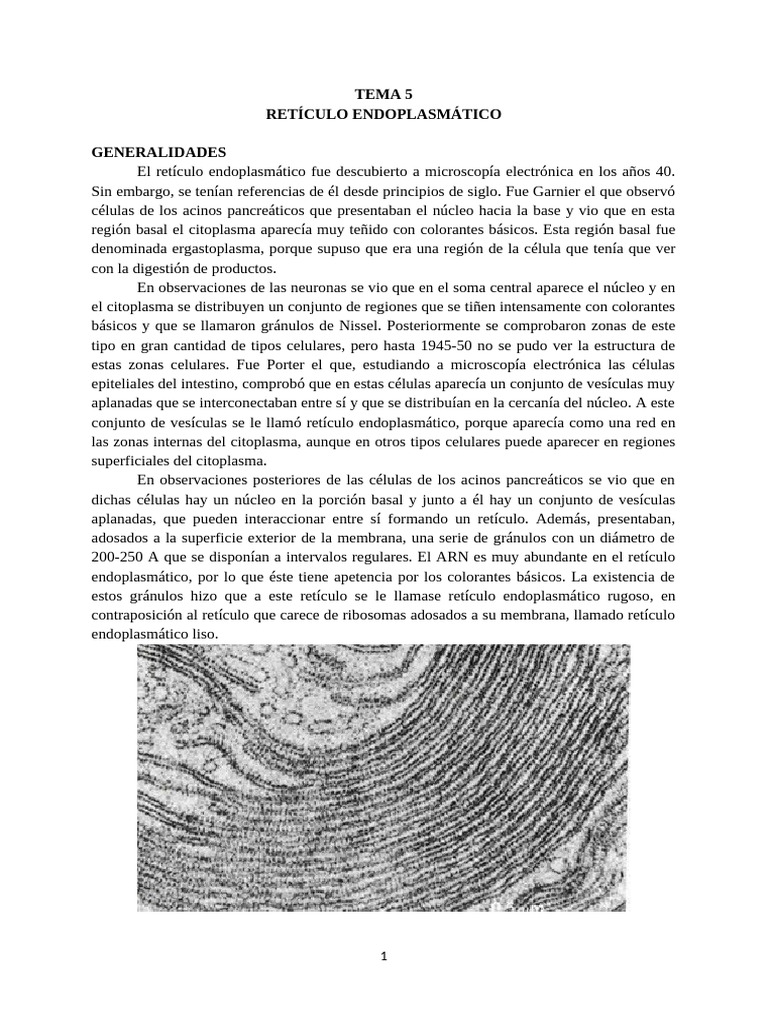Estructura y Función del Retículo Endoplasmático | PDF | Retículo ...