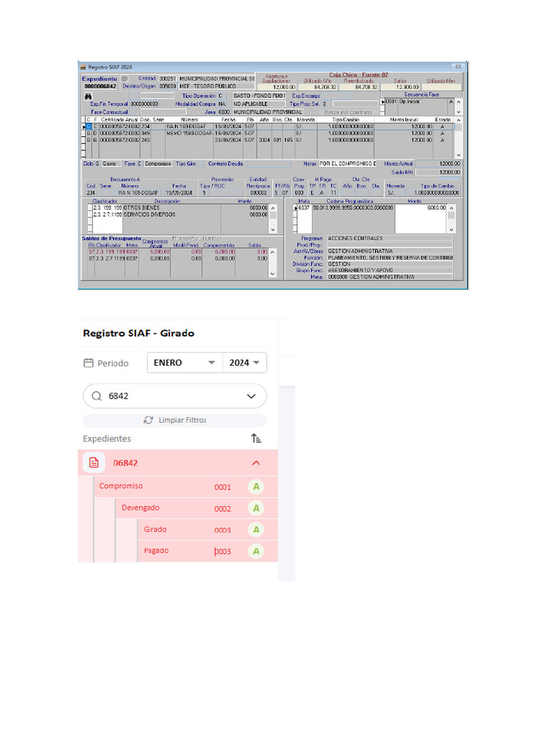 pantallazo 2025 (5) | PDF