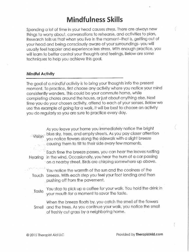 Mindfulness Skills | PDF