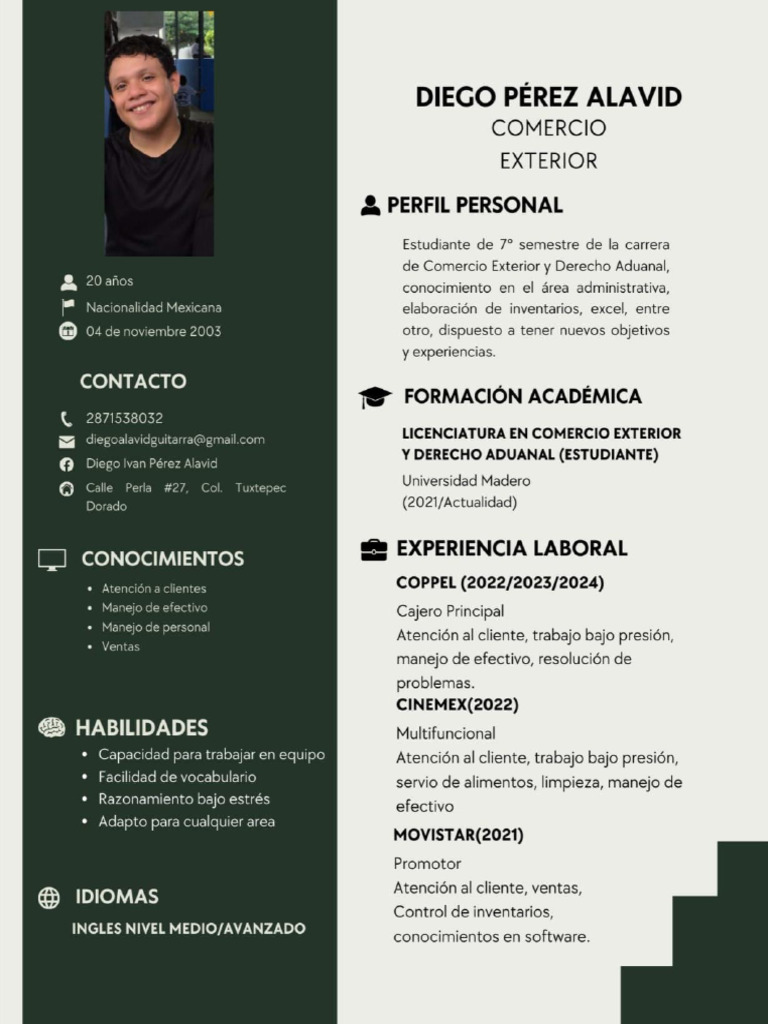 Currículum Diego Ivan Pérez | PDF