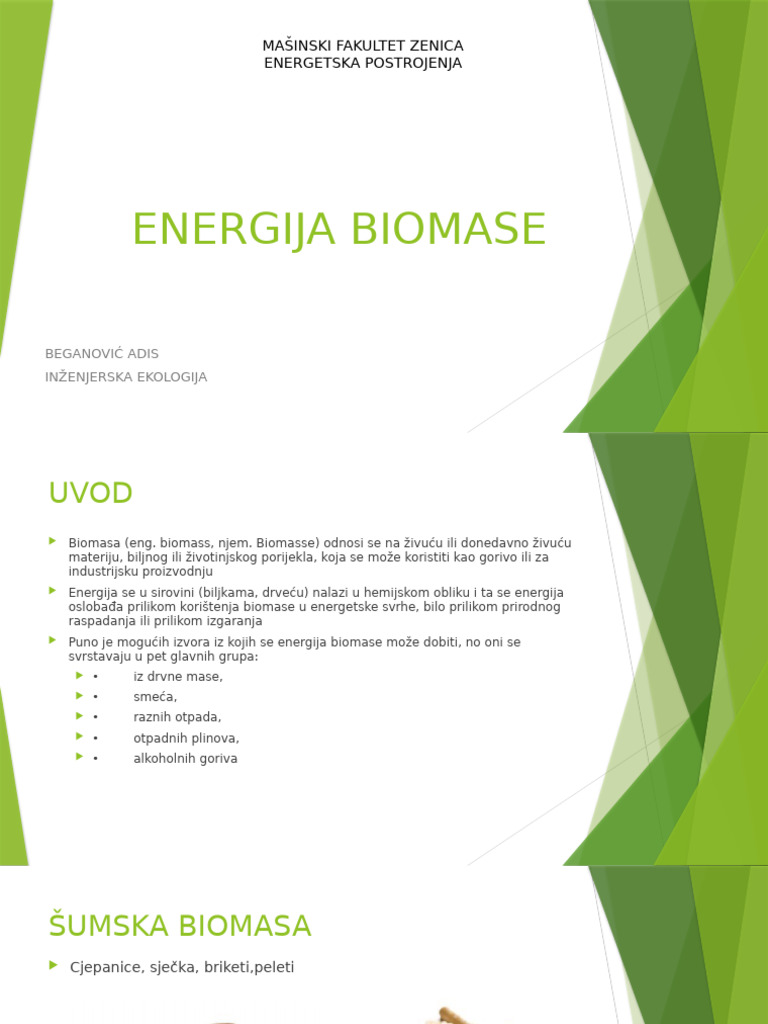 Energija Biomase | PDF