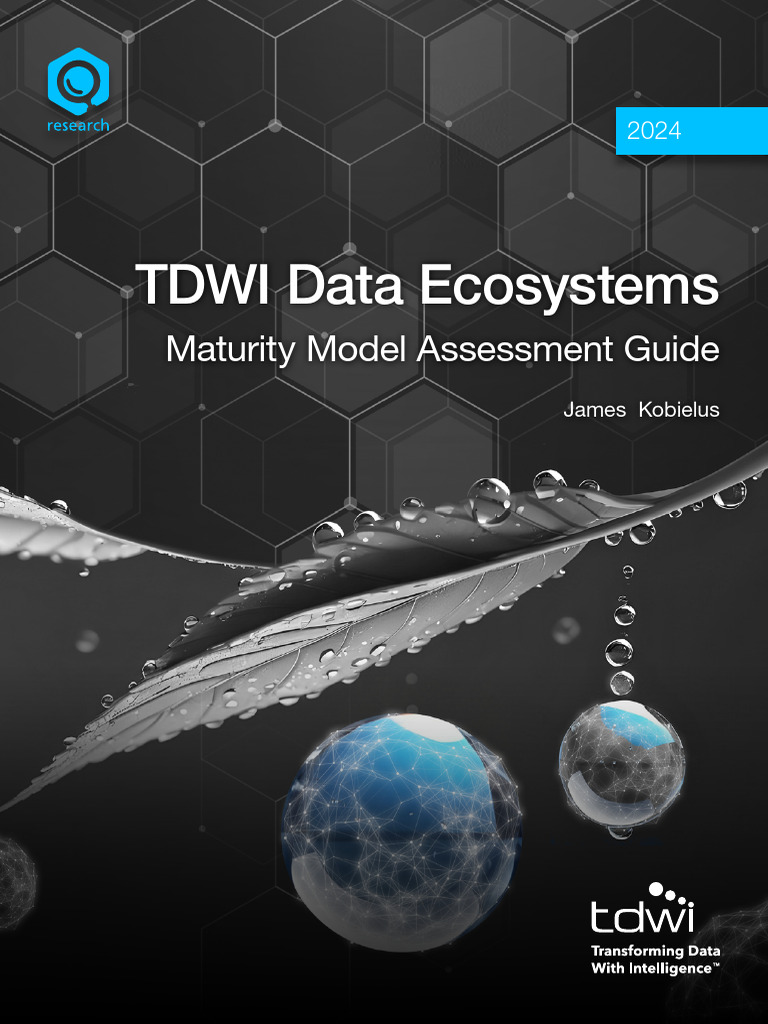 TDWI_DataEcosystems_Guide_2024_web | PDF | Analytics | Governance