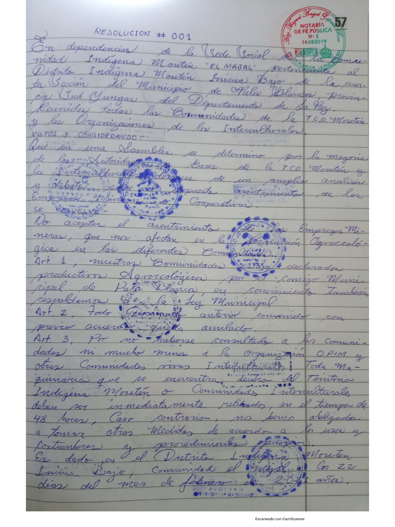 Resolución OPIM | PDF