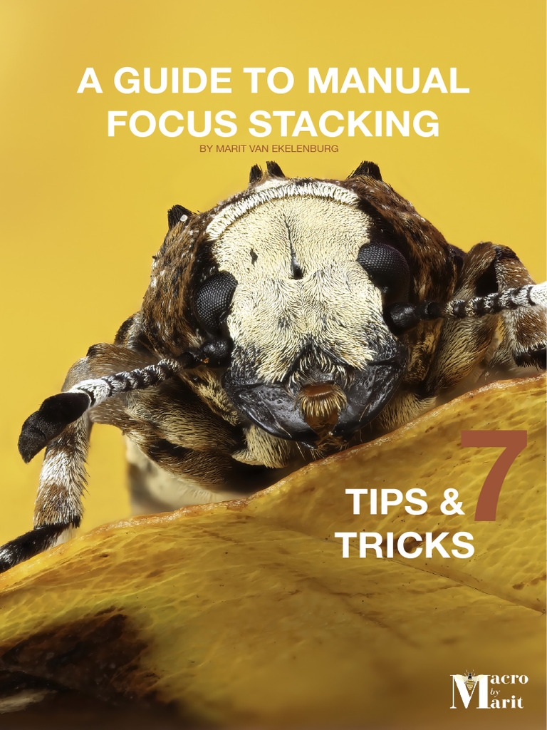 Guide To Manual Focus Stacking | PDF | Macro Photography | Imaging