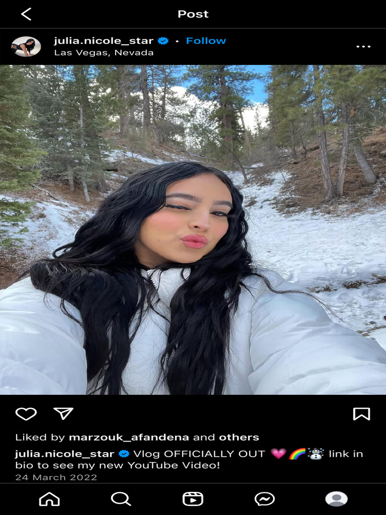 Julia Nicole ???? Vlog OFFICIALLY OUT ?? | PDF