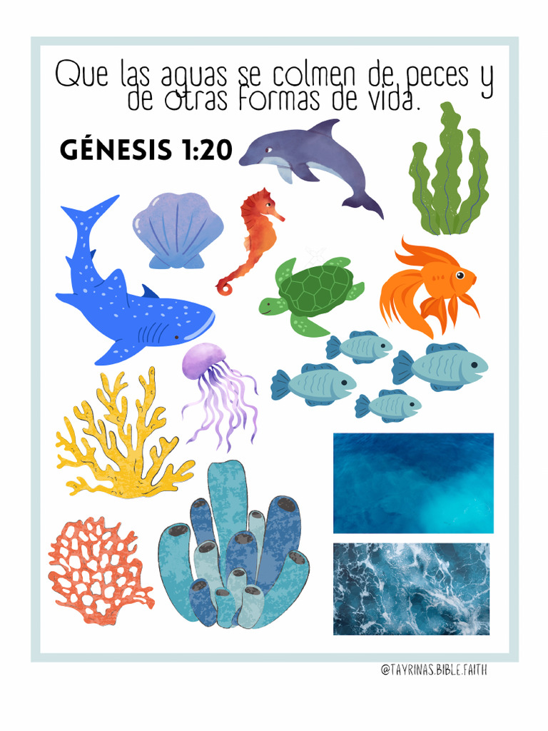 Génesis 1 - 20 Imprimible Gratis | PDF