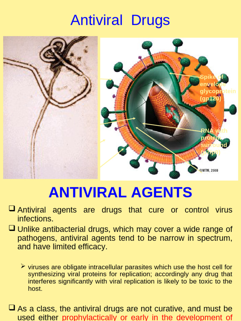 Overview of Antiviral Drugs and Mechanisms | PDF | Virus | Influenza