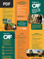 Manual do Curso CAF: Guia Completo | PDF | Tempo | Aprendizado