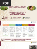 Nom 075 Fito 1997 | PDF | Naranja) | Pomelo